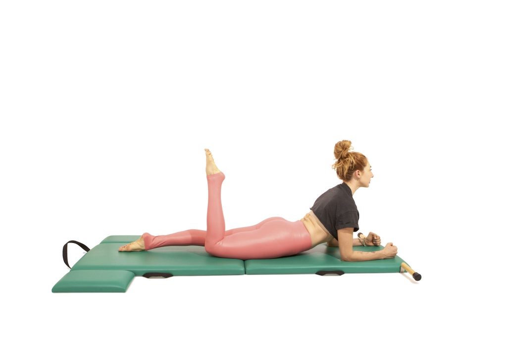 Single Leg Kick on the Mat | Online Pilates Classes